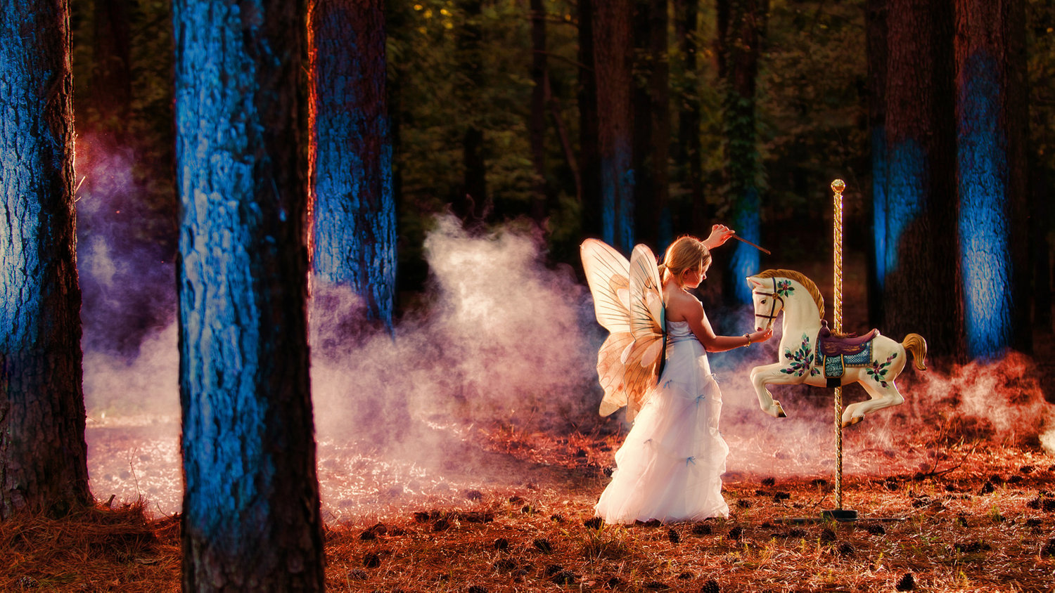 FINE ART - Wiggins Photography
