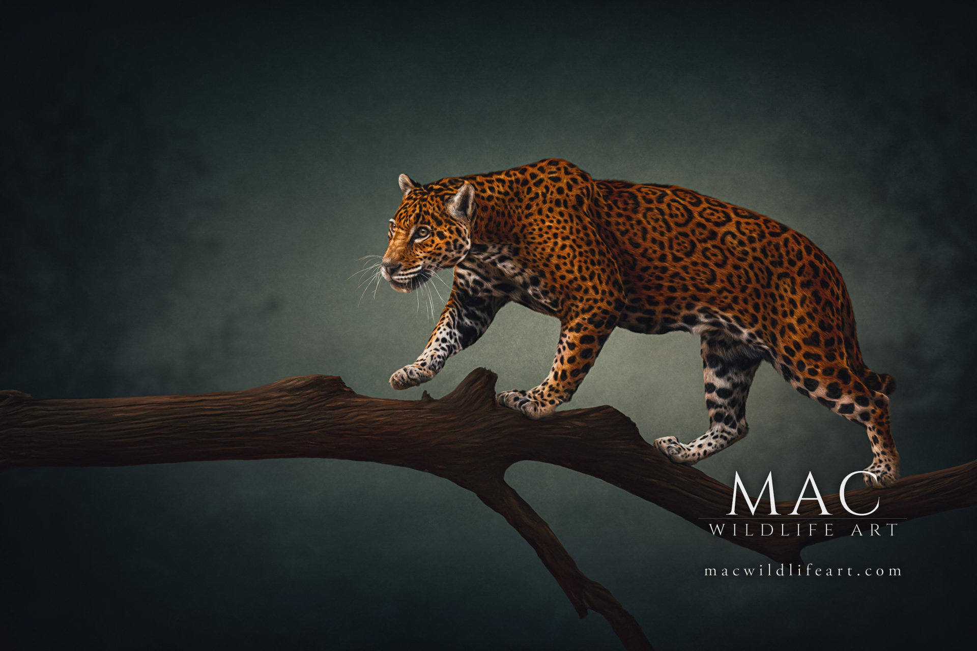 The Leopard - Print - Mac Wildlife & Art