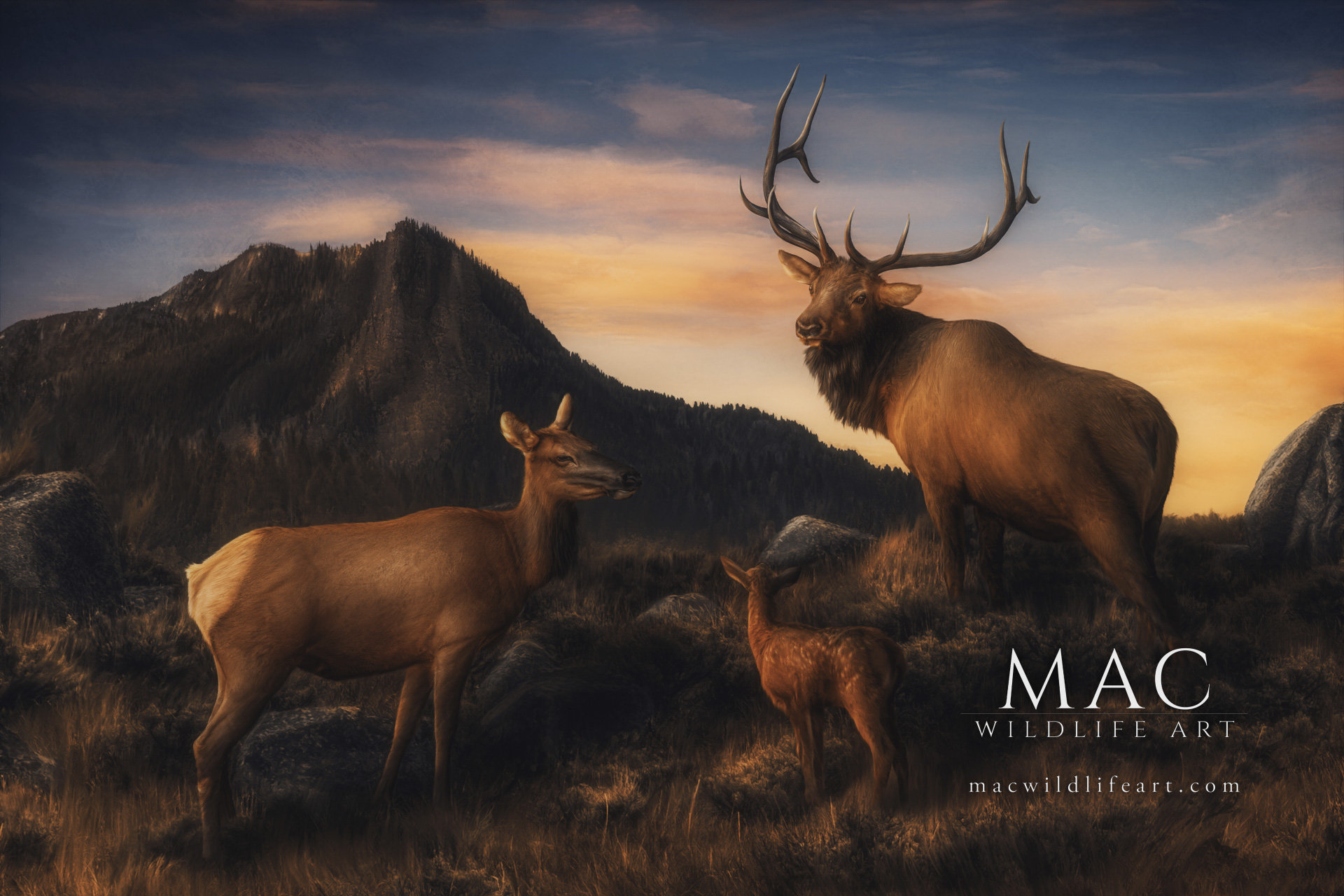 The Polygamist's Family Portrait - Print - Mac Wildlife & Art