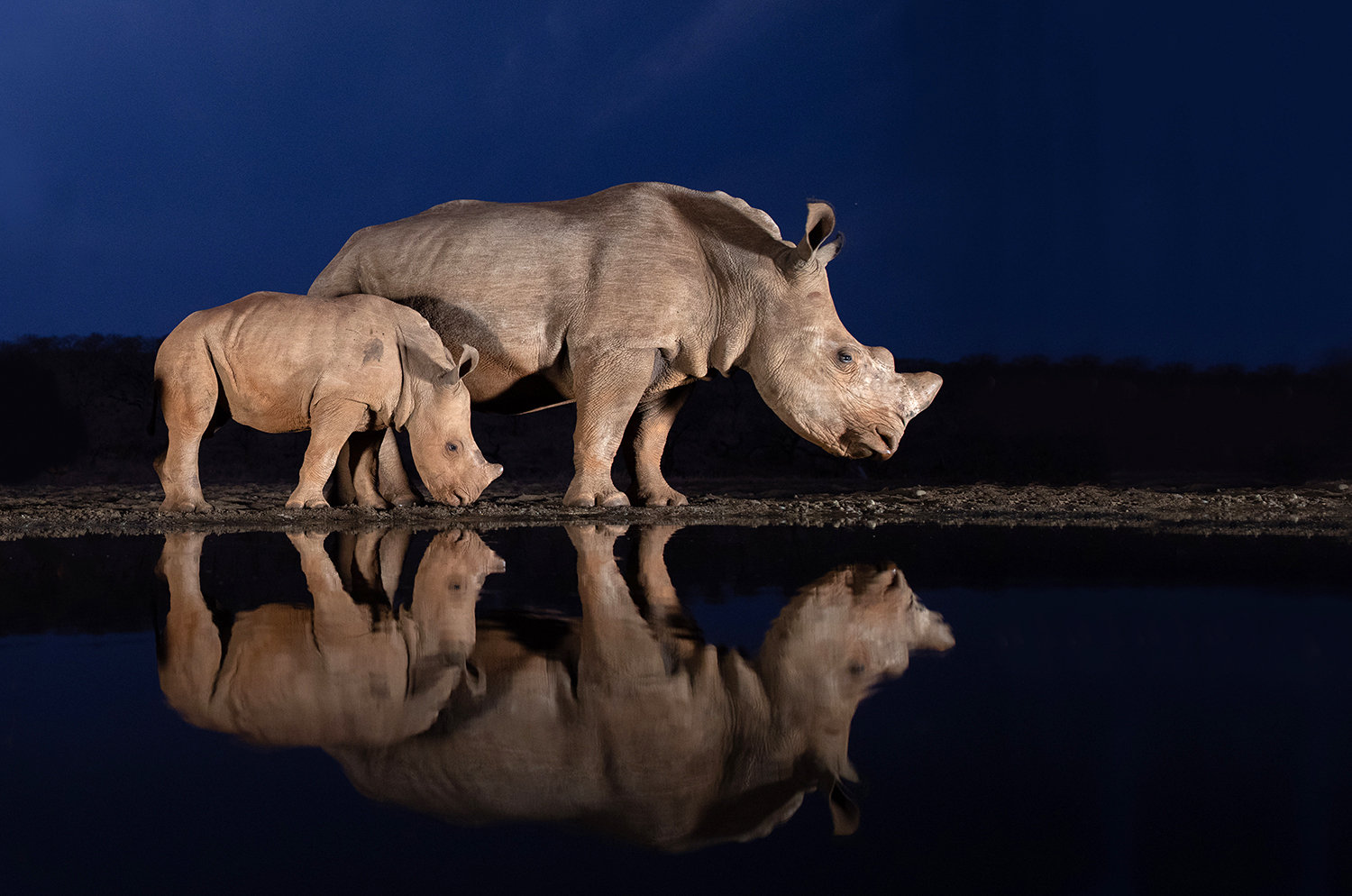 Photo Tours/Workshops - Jim Zuckerman Photography