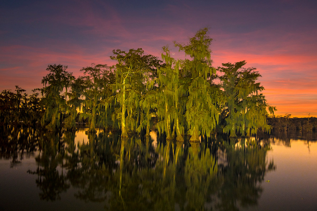 Night photography in the swamp - Jim Zuckerman photography & photo tours