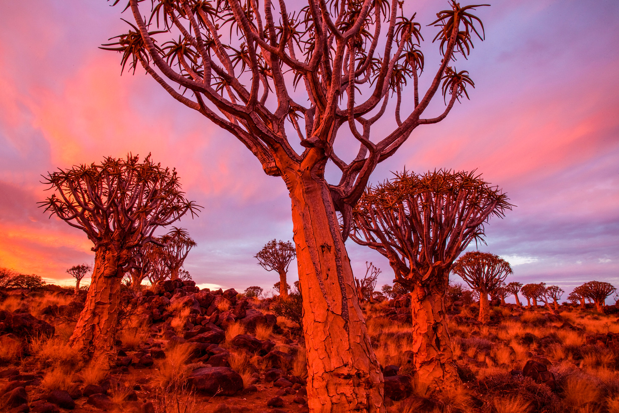 Namibian landscape at sunset - Jim Zuckerman photography & photo tours