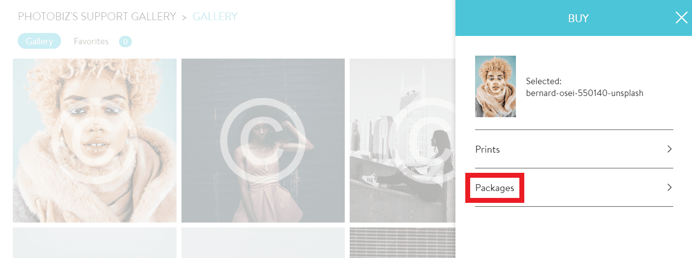 How Do I Set Up Fixed Packages? - PhotoBiz Knowledge Base