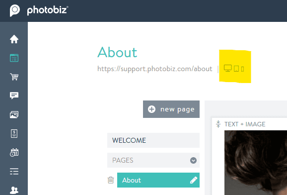 How Can I Preview My Site For Desktop Tablet And Mobile View