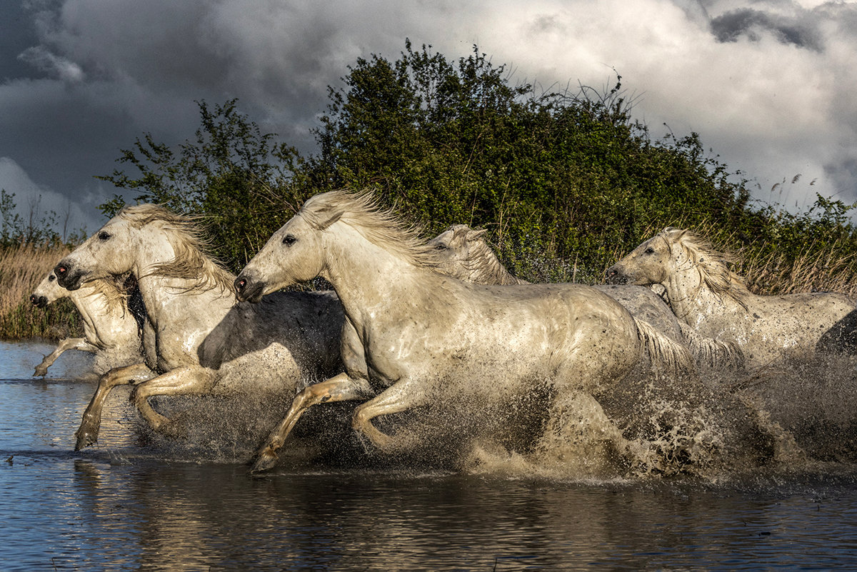 The Getaway - Jim Zuckerman photography & photo tours