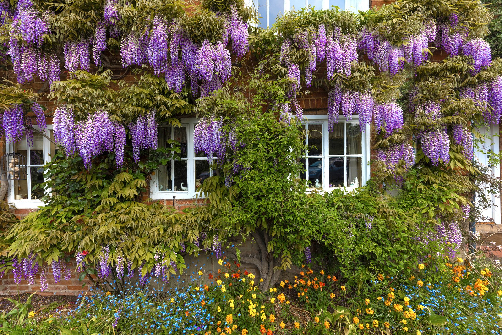 Amazing floral display - Jim Zuckerman photography & photo tours