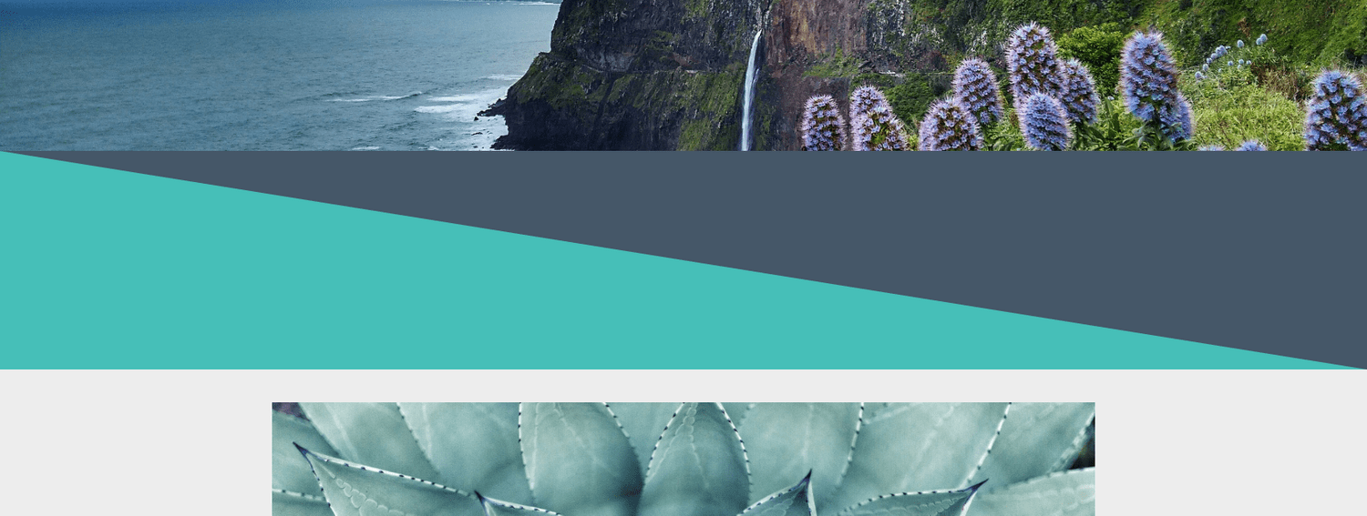 How To Use Slant And Point Dividers - PhotoBiz Knowledge Base