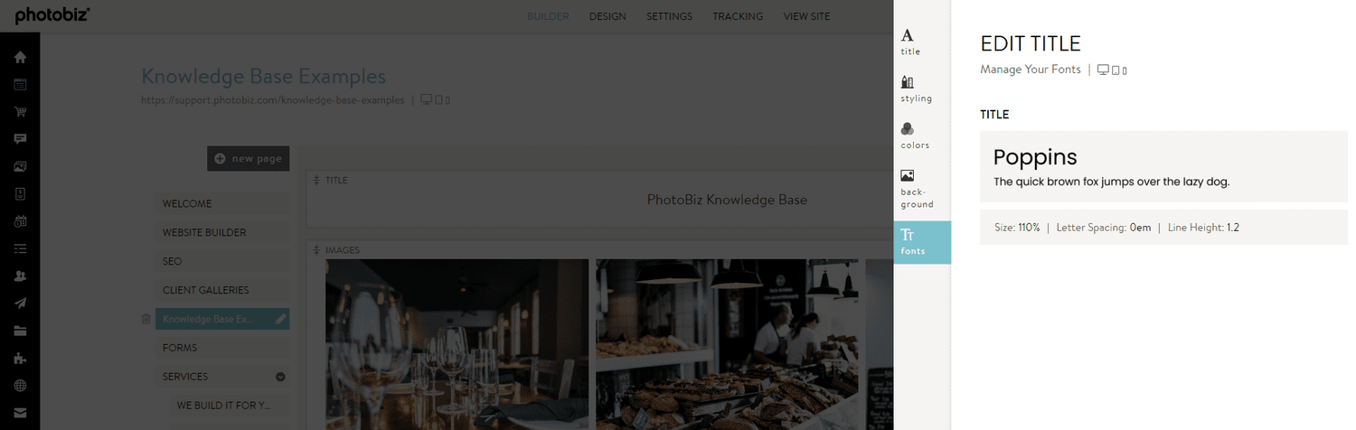 How to Change the Fonts On Title Blocks - PhotoBiz Knowledge Base