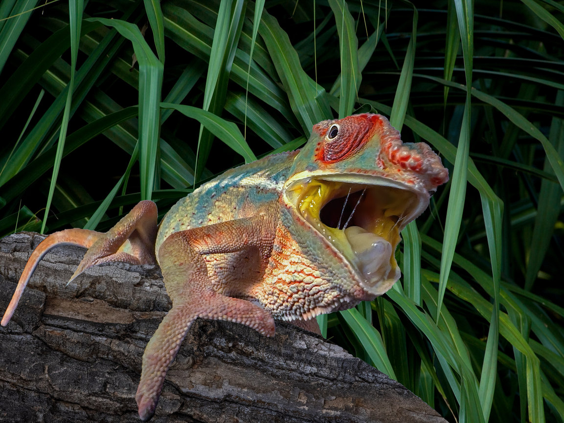 Photo Tours/Workshops - Jim Zuckerman Photography