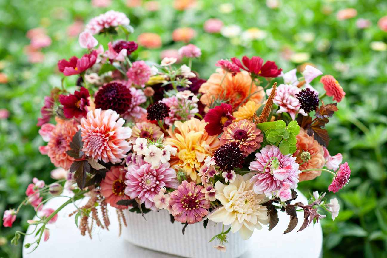 Shop Calgary Florist | Flowers by Janie | Calgary, Alberta