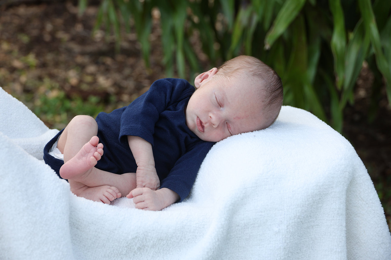 online ordering - Sandra Pearce Photography