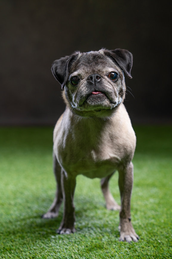 Client Final Galleries - Orendorff Studios