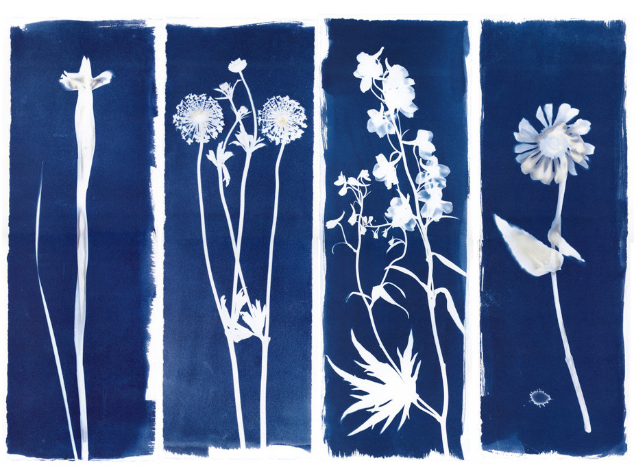 4 Blue Flower - Longstreet Collection