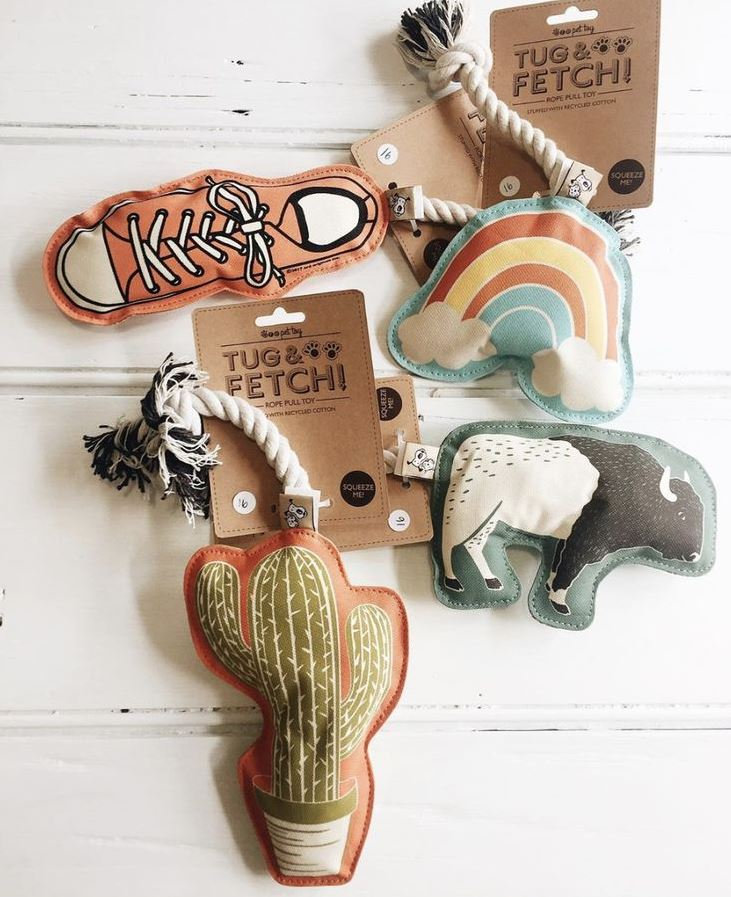 Tips For Capturing The Perfect Pet Portrait - Harmann Studios