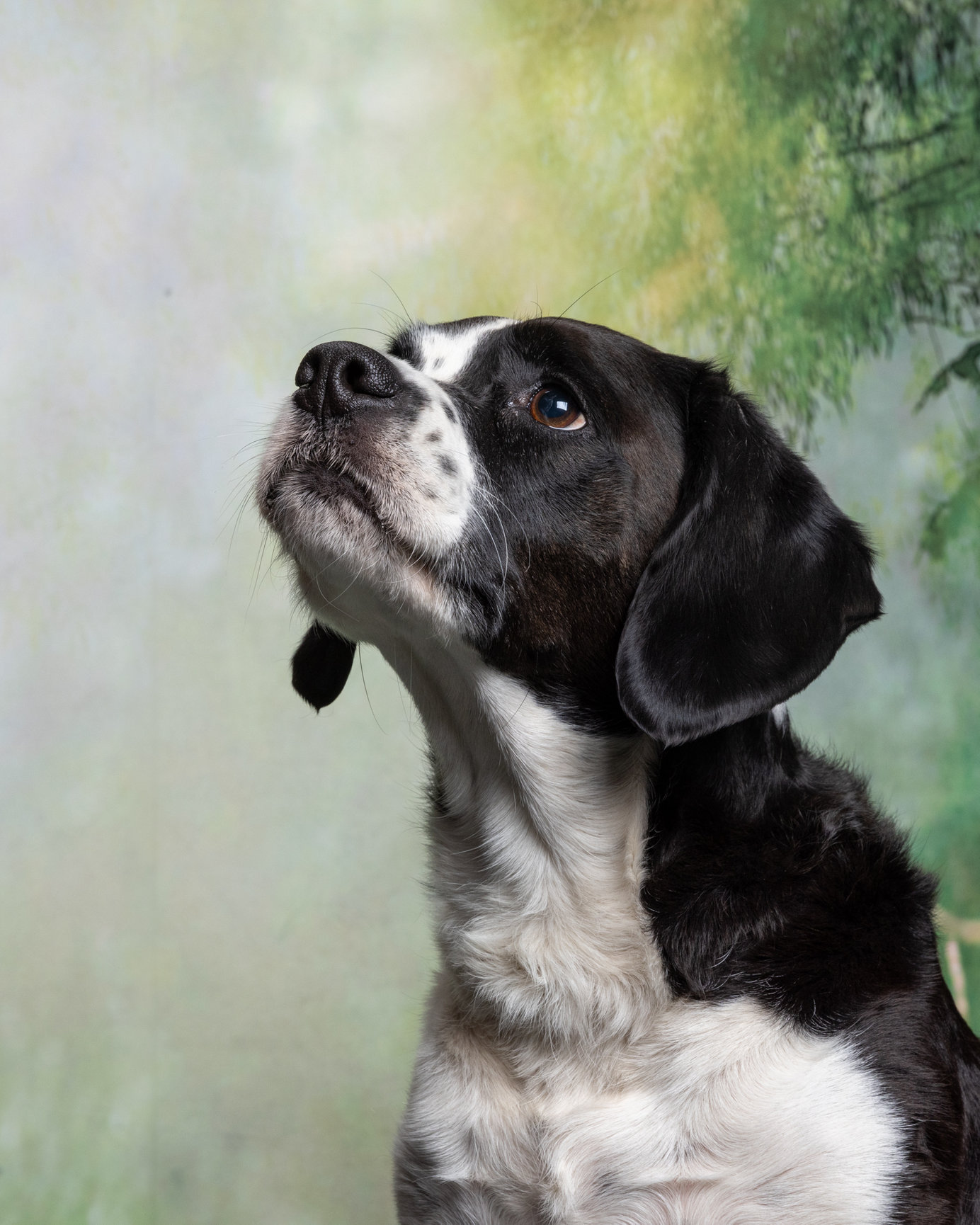 Meet Calendar Girl Piper - Terri Jacobson Photography