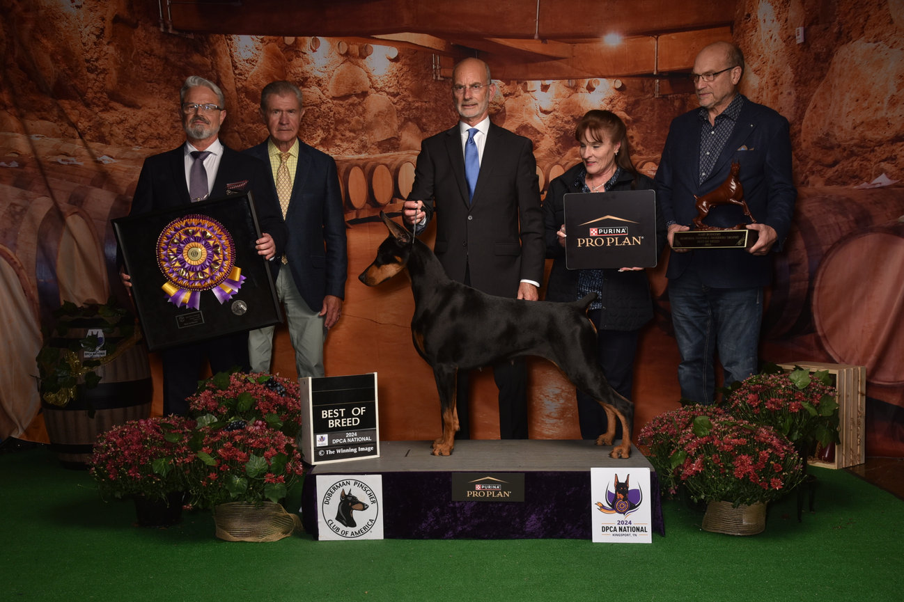 DPCA Wins National - The Winning Image