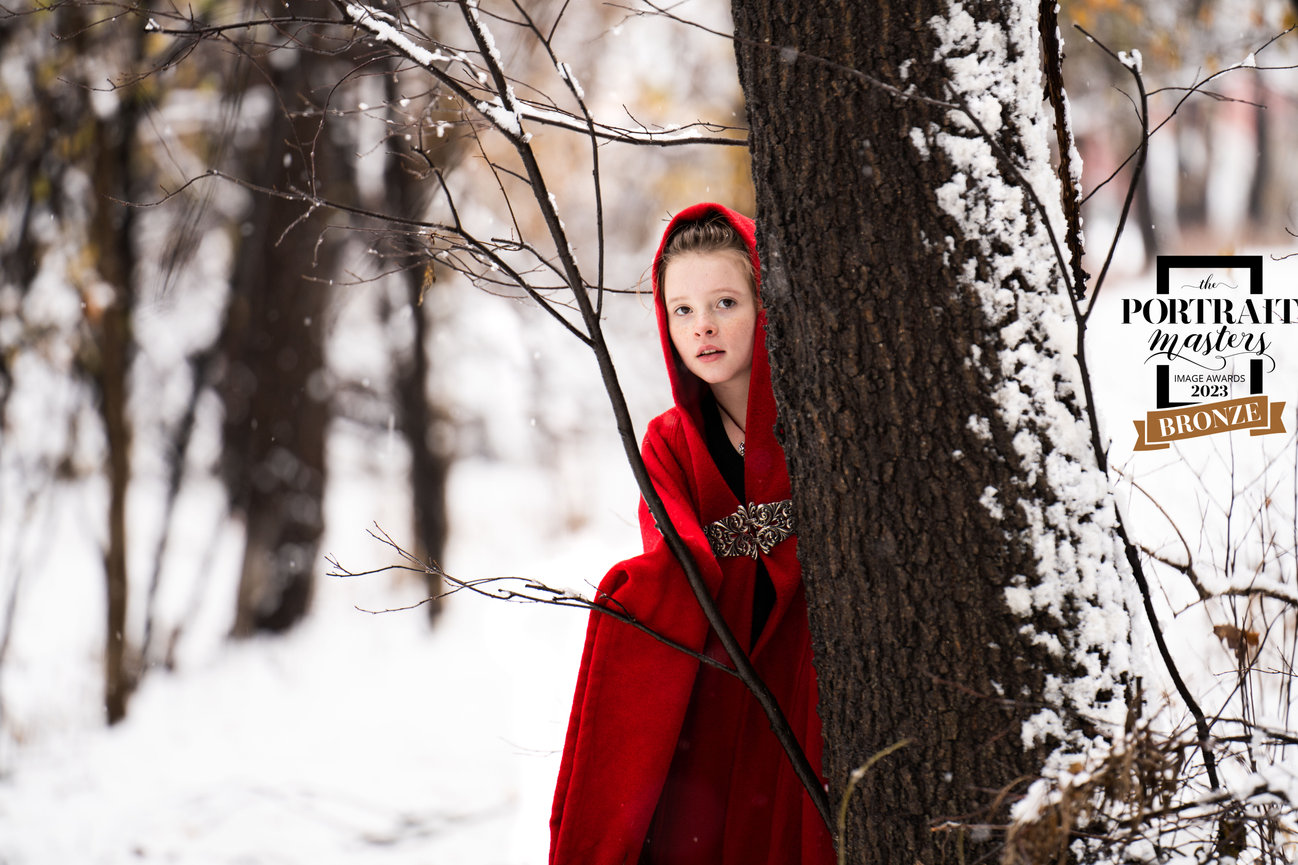 4 Bronze Merit Awards from Portrait Masters 2023! - Minneapolis Beauty ...