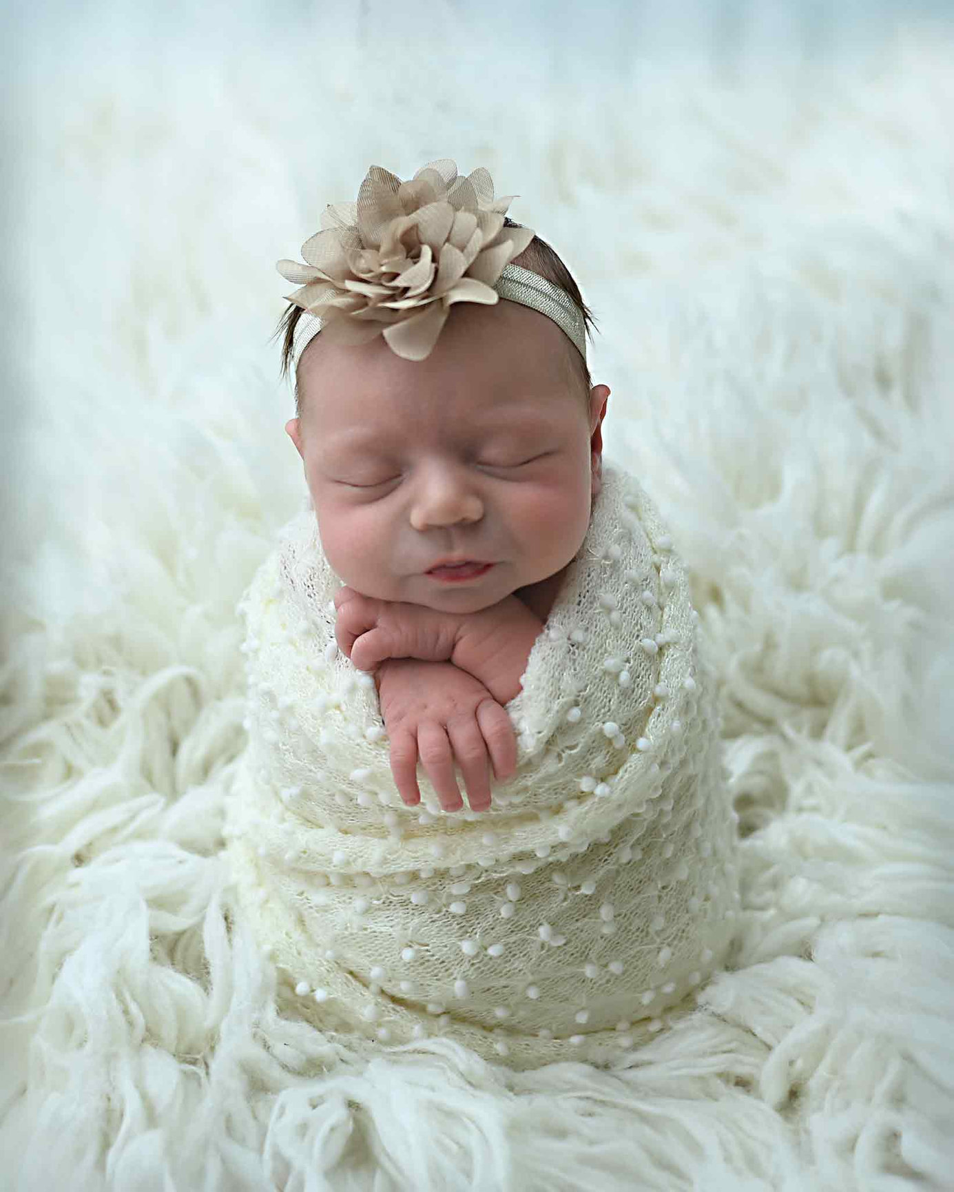 Book a newborn portrait studio session in Hickory, NC - Heidi Houser ...