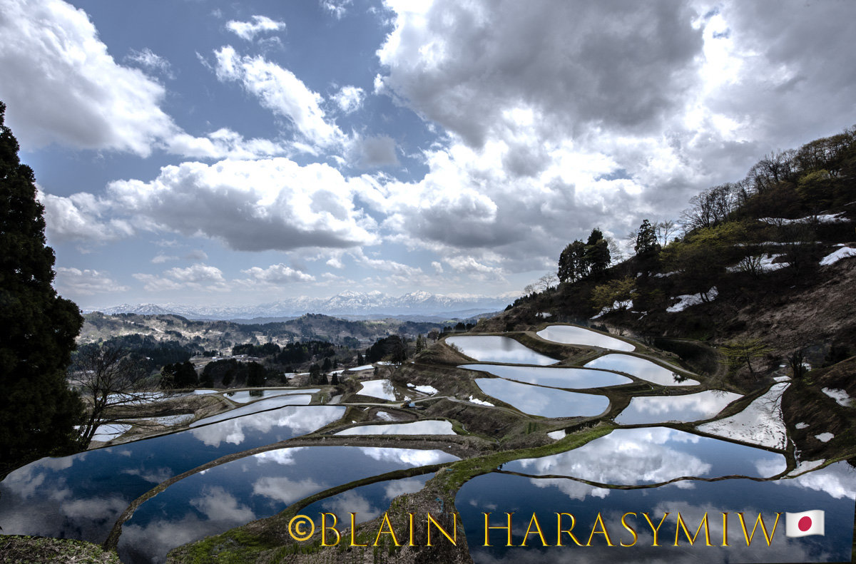 Rice Terraces in Niigata Japan - JAPAN DREAMSCAPES