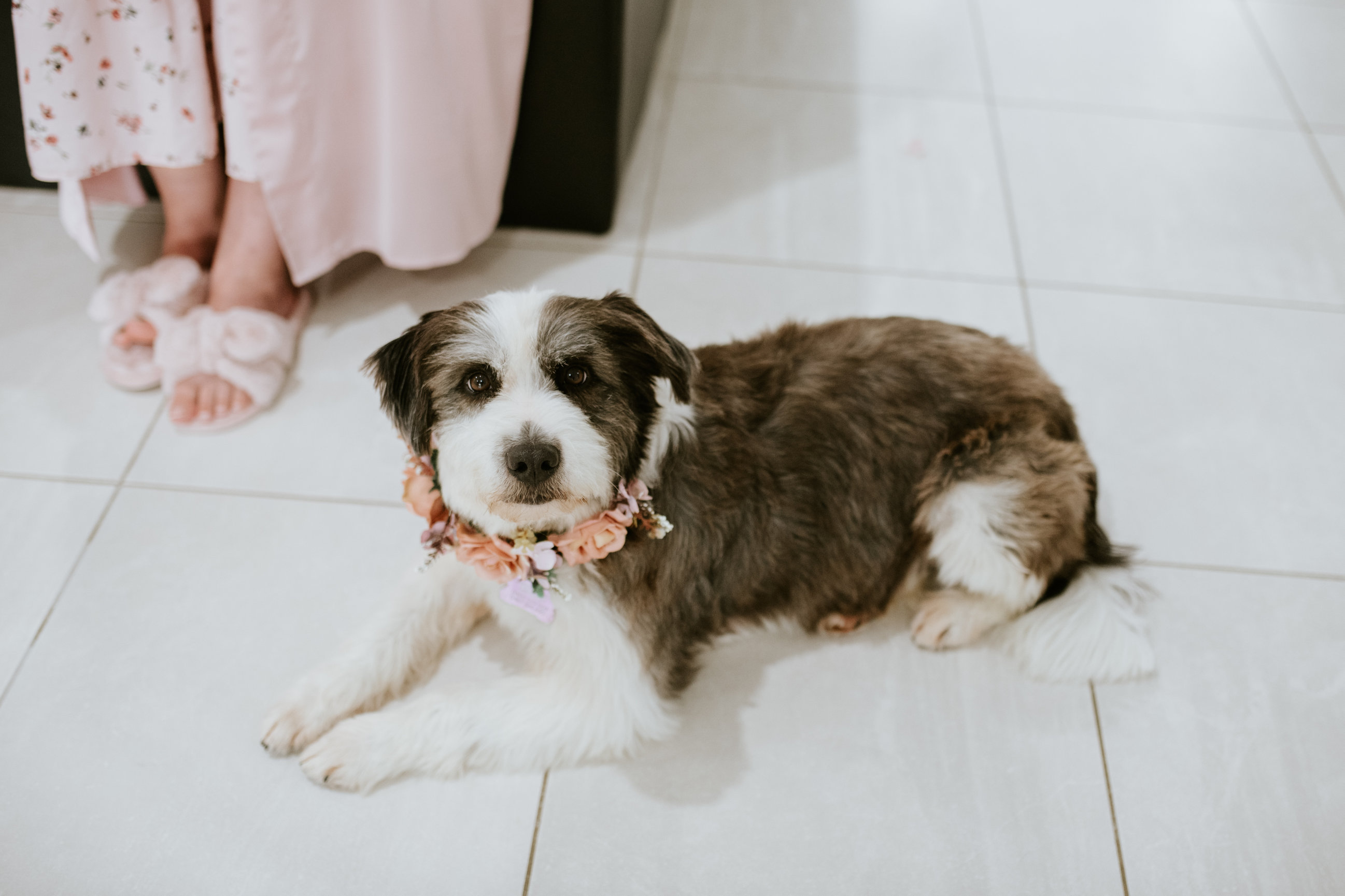 Geoffrey & Claire - Lauren Joy Photography