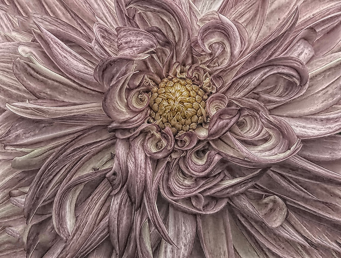 Get Good at Post Processing - Mike Moats - Award Winning Macro Photographer