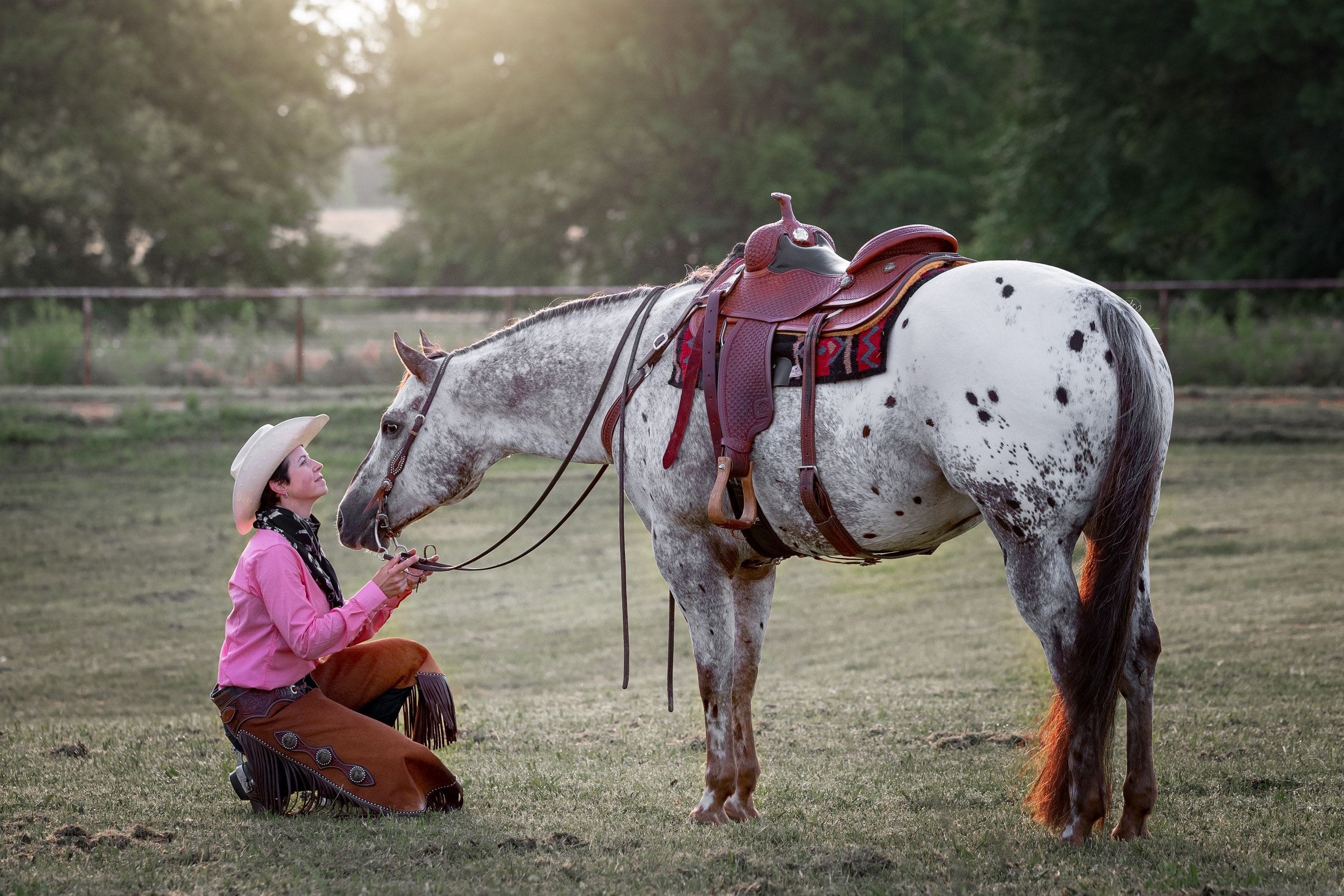Dallas TX Equine & Equestrian Gallery | Penny Whistle Photography