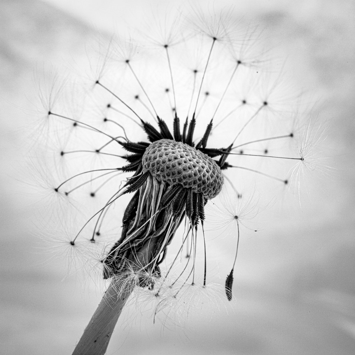 One Photographer's Art is Another's Cliché - Geelong Photography