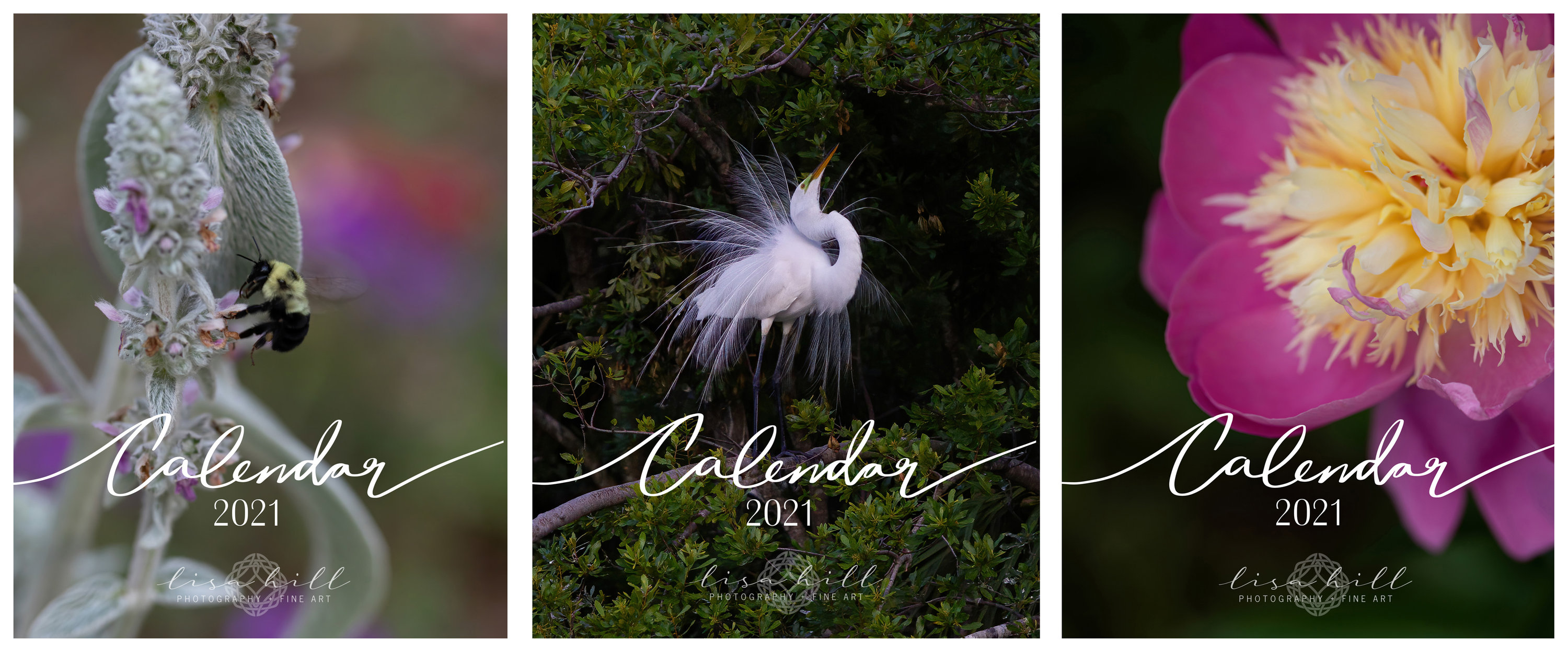 Calendar Donations Exceed $1,700! - Lisa Hill Photography