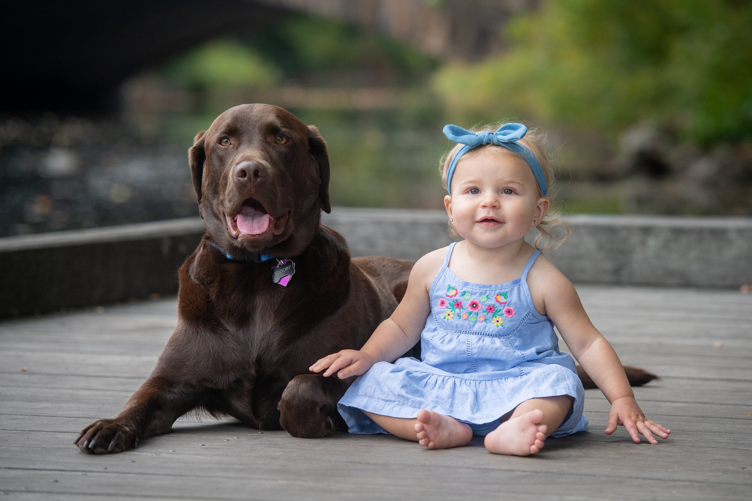 Johnson Photography, Inc- Boston and beyond